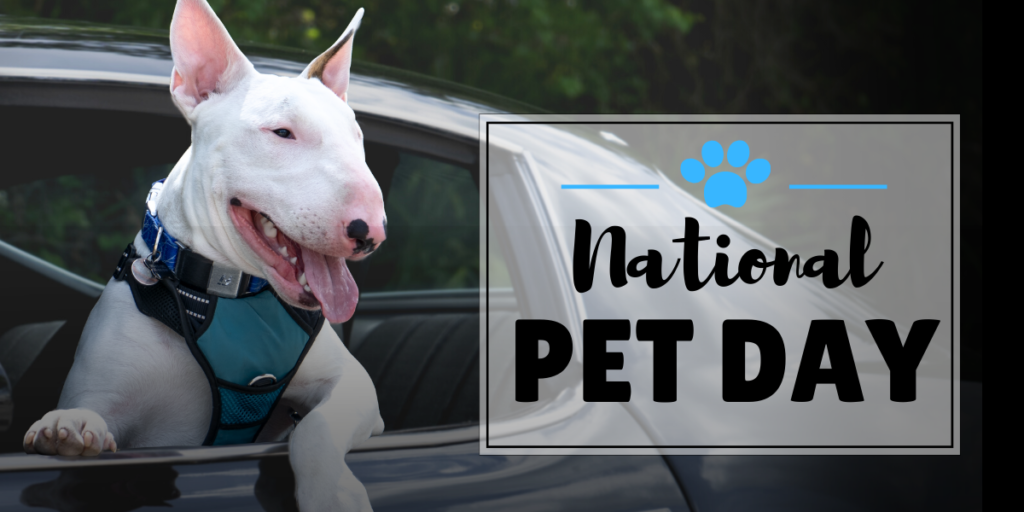 How To Bleed LS Cooling Systems | Ground Up Motors - SS396.com